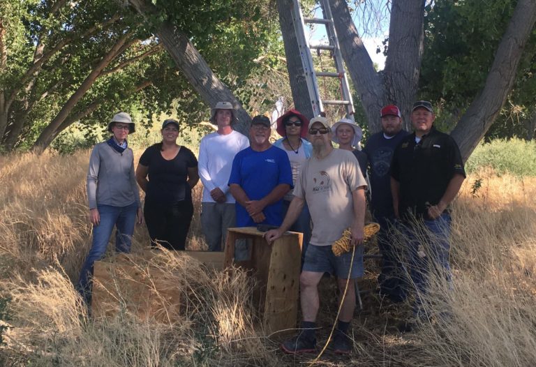 EAC Discovery Park Campus new home to 12 juvenile Barn Owls - The Gila ...