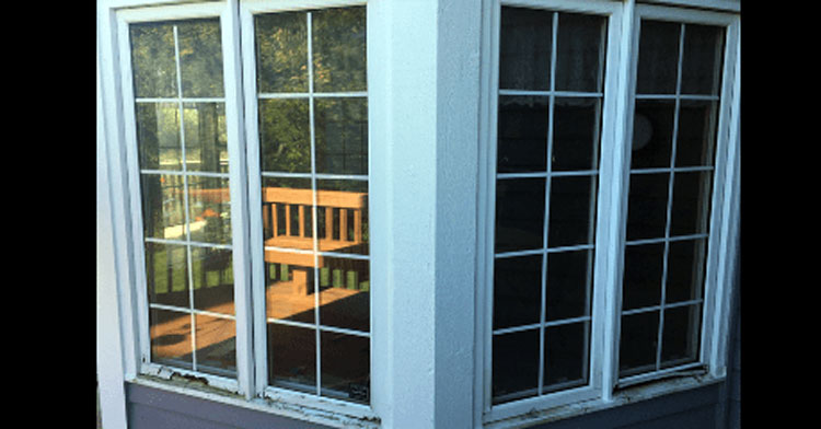 Enhance Your Comfort and Protection with Professional Screen Repair and ...